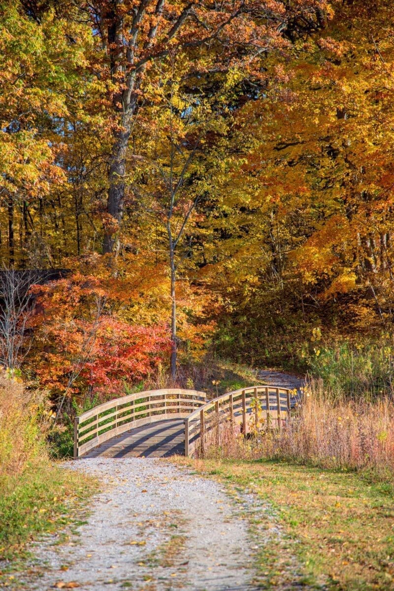 Red Mill County Park - La Porte County Parks Department