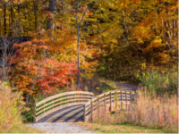 Creek Ridge County Park - La Porte County Parks Department