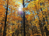 Red Mill County Park - La Porte County Parks Department